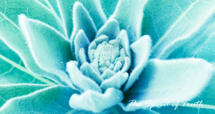 The elementary basis – The Spirit of Truth